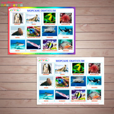 шаблон дидактическая игра Морские обитатели скачать для печати